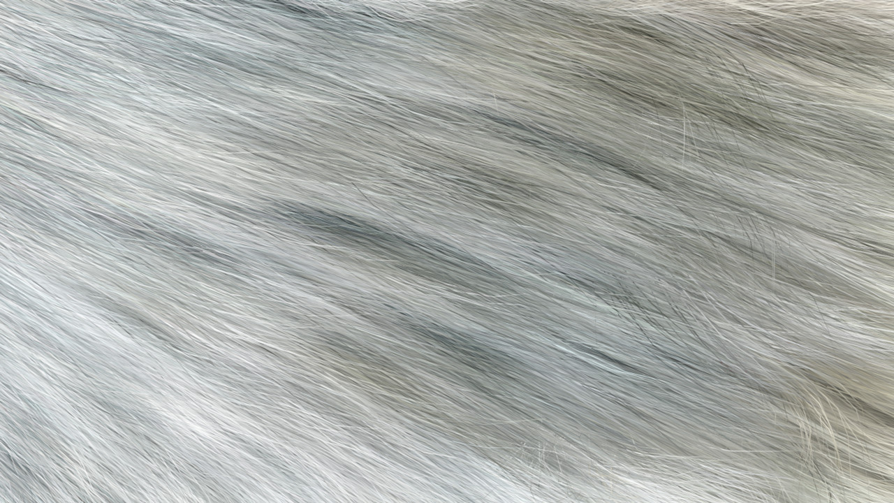 white wolf fur texture