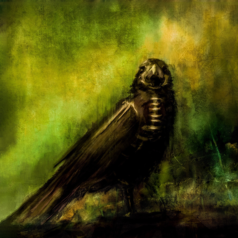 ArtStation - dread bird (black bird 2.0