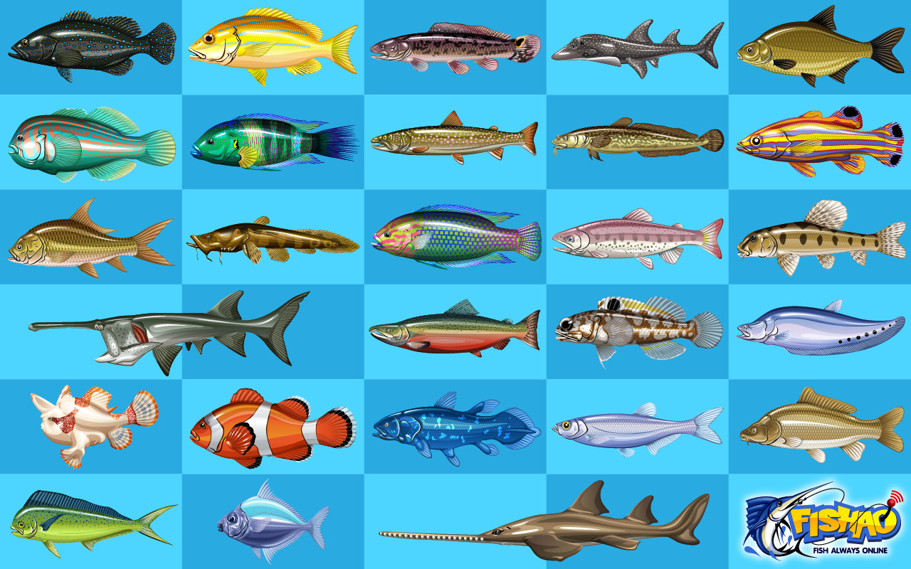 Tim Lai - FISHAO Fish 03