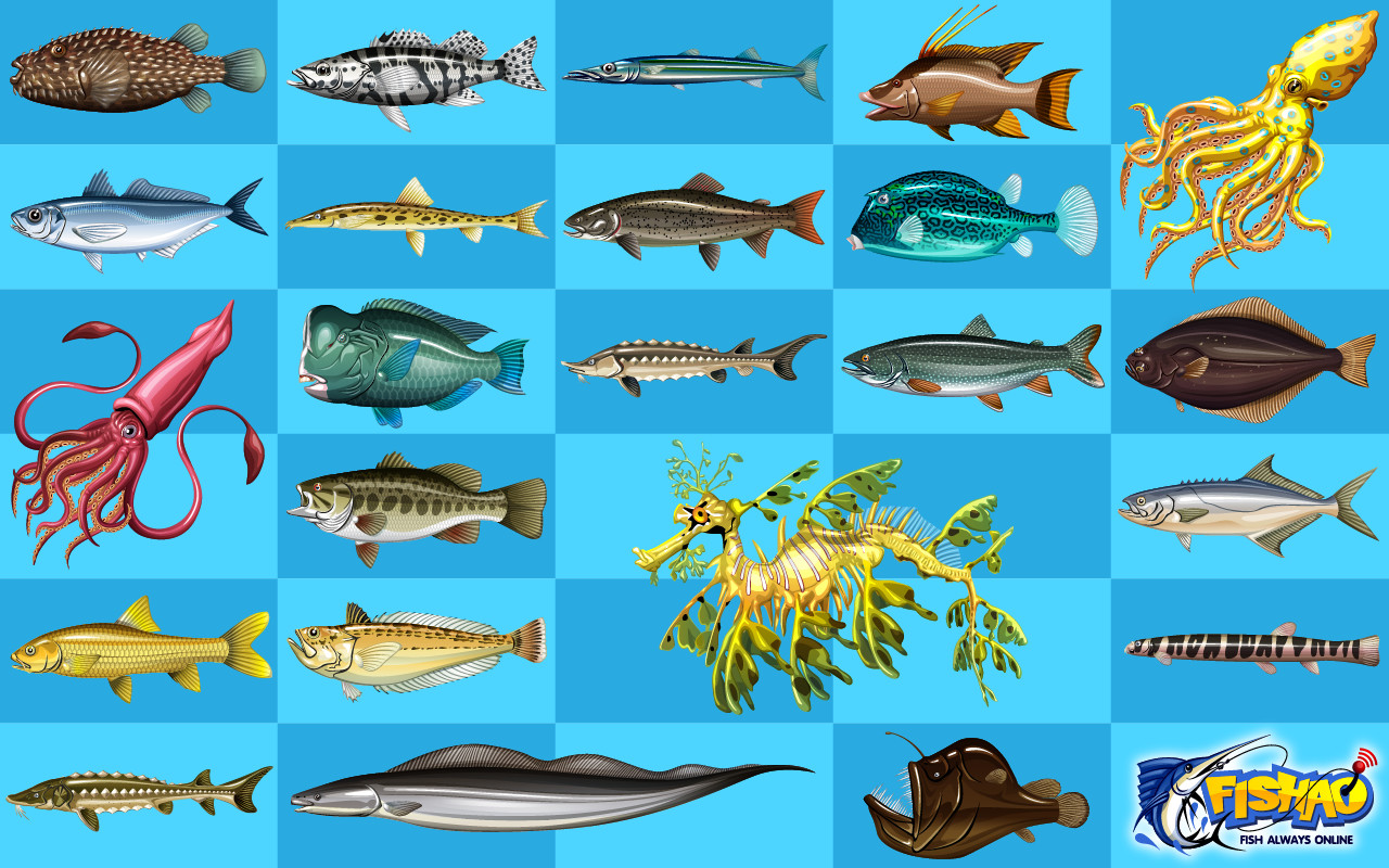 ArtStation - FISHAO Fish 07