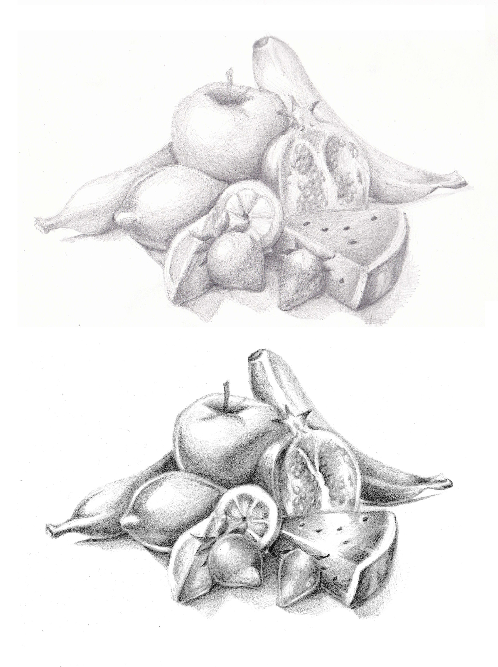 David Parzych - Illustrations