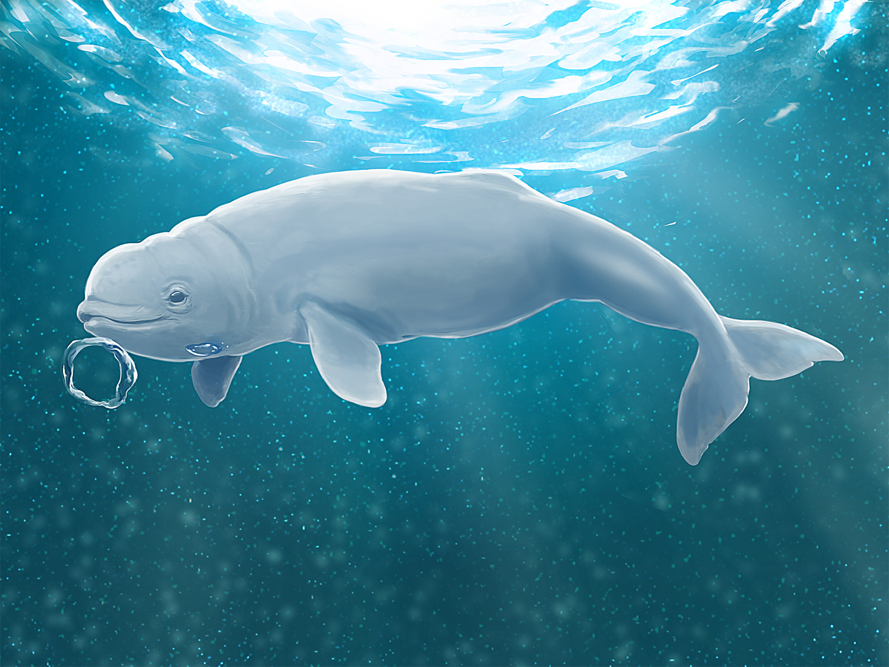 Jorge Romero - Beluga