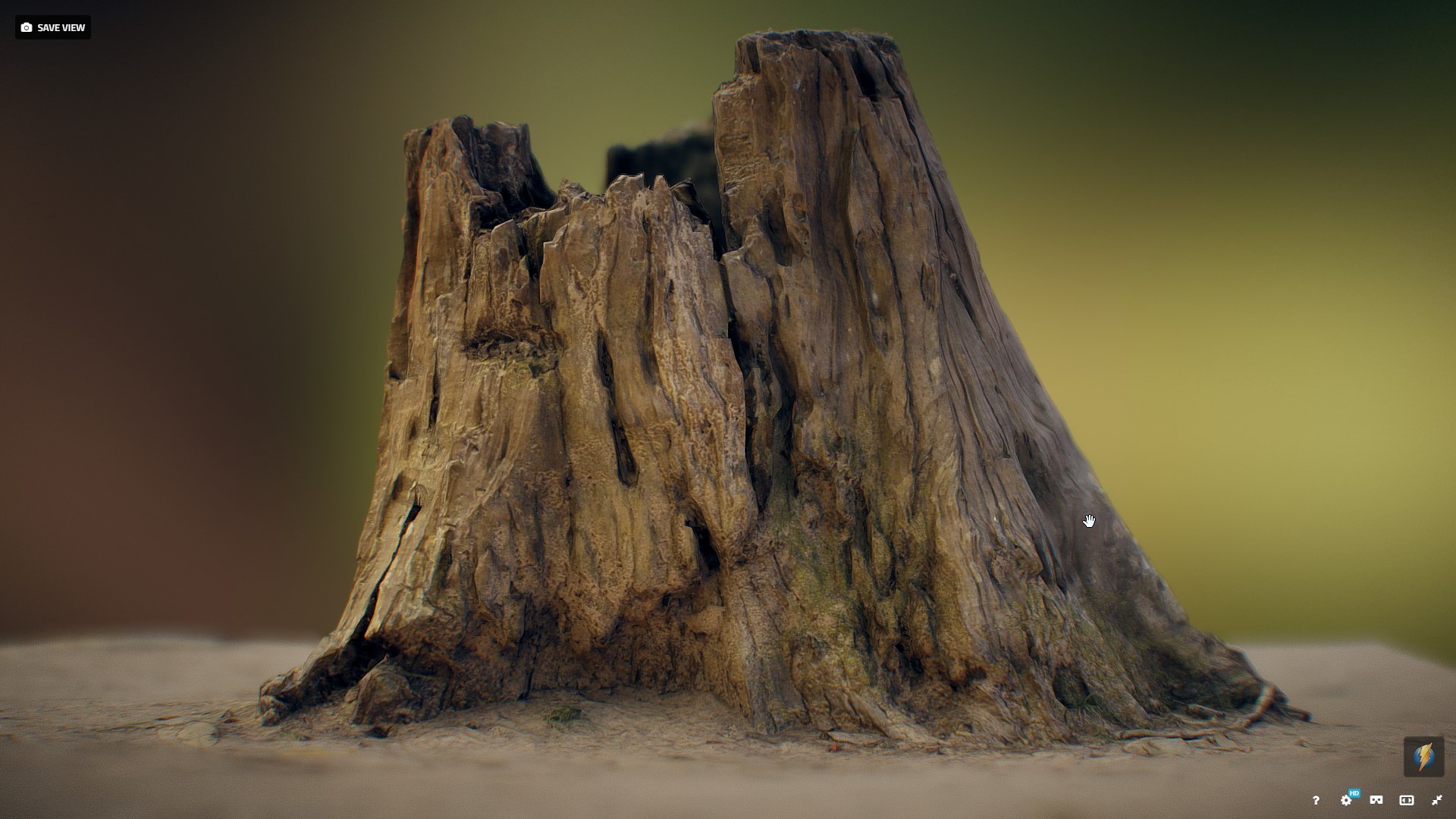 Yegor Tsyba - Old Tree Stump 4