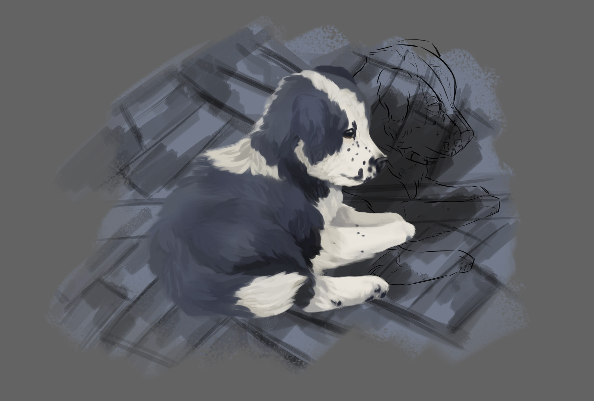 ArtStation - .:COM:. Puppy Border collie