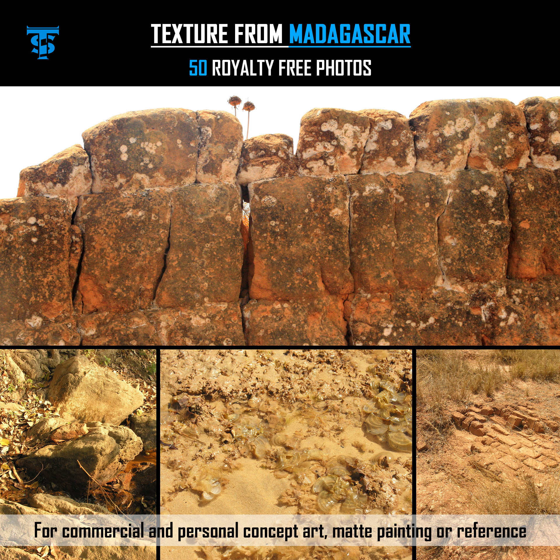 ArtStation - texture from Madagascar gumroad