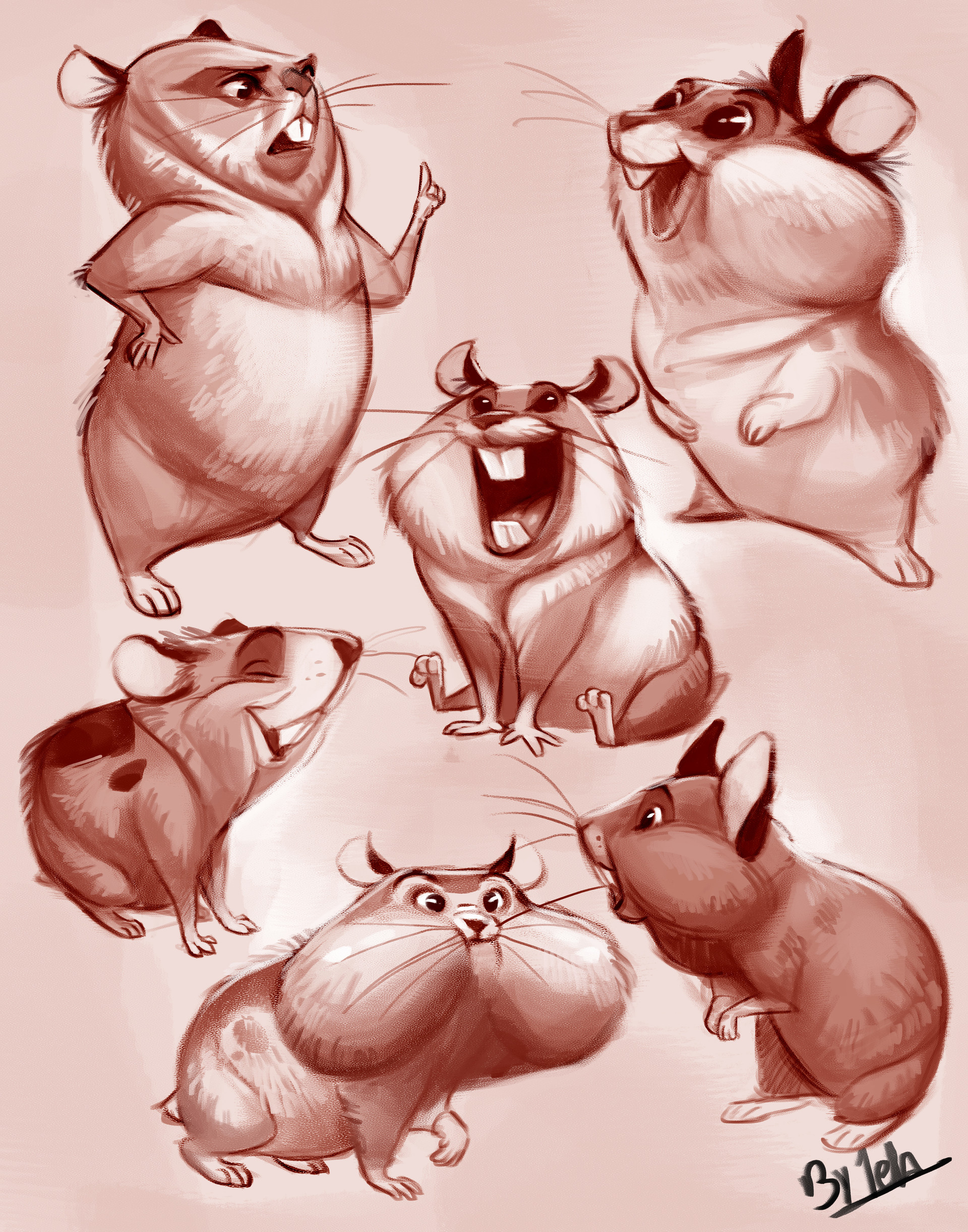 hamster design