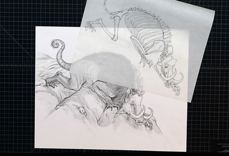 ArtStation - Animal Skeleton Sketches