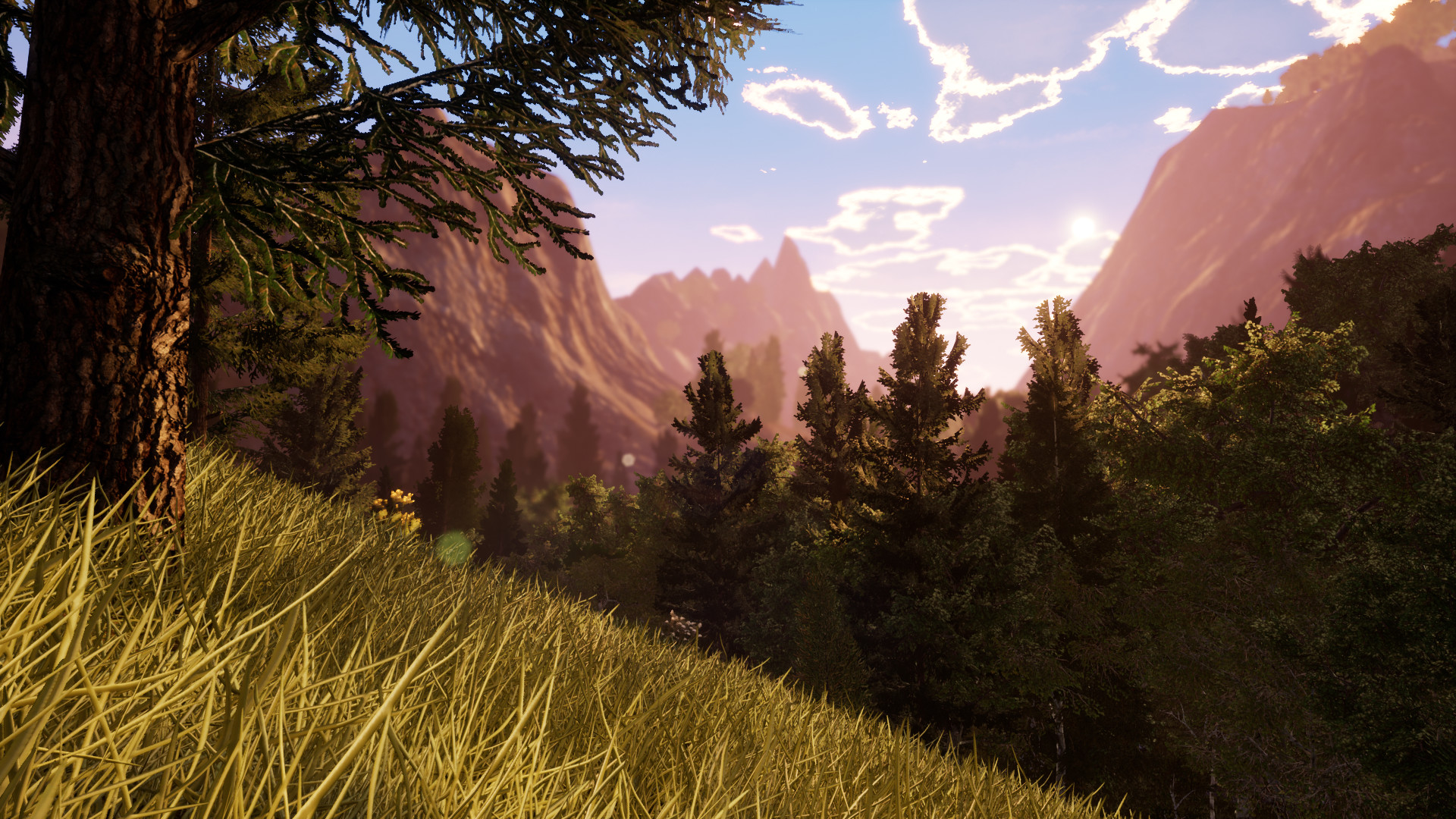 ArtStation - Freedom forest