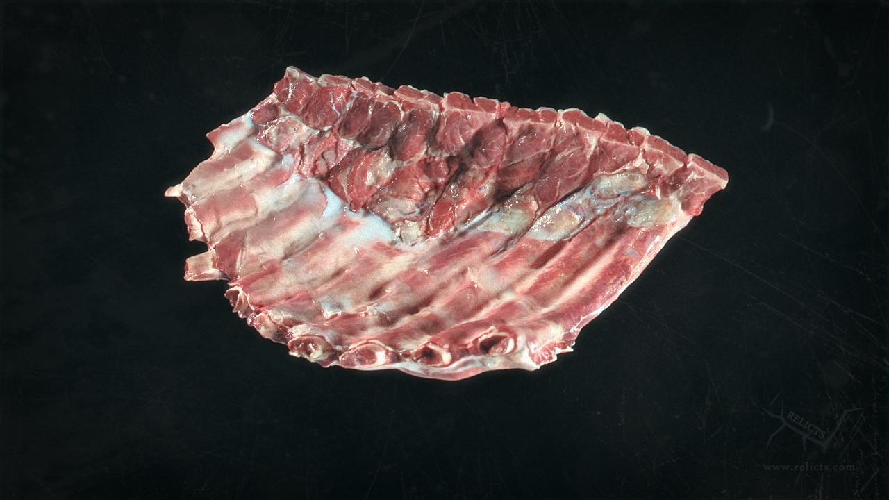 ArtStation - Meat