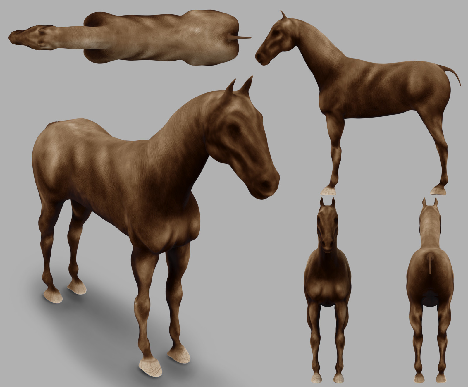 Jordan Beaven - Hand Painted Horse texture