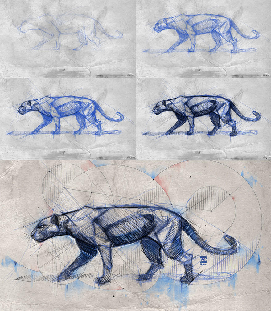 ArtStation - beast sketching