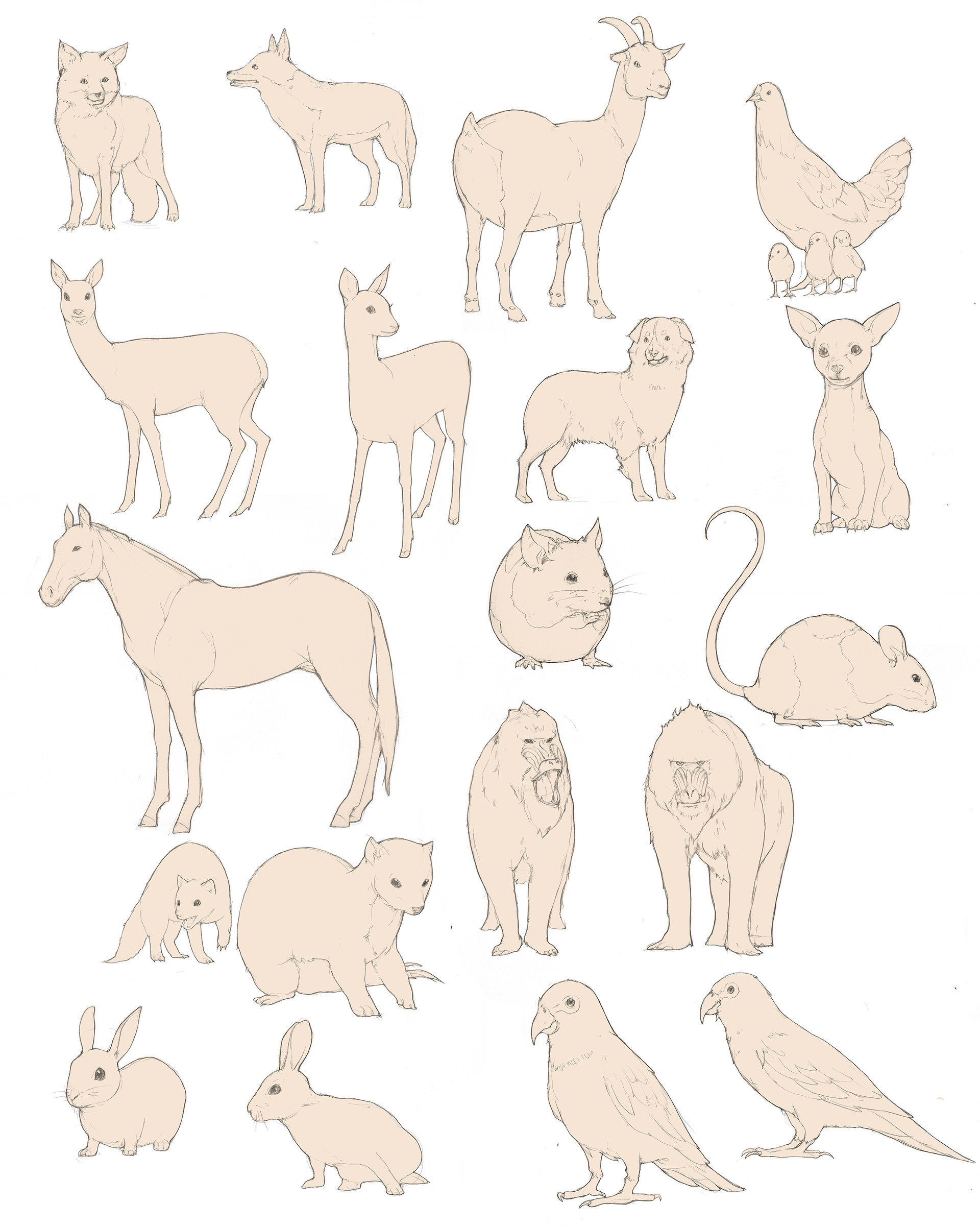 ArtStation - Animal farm