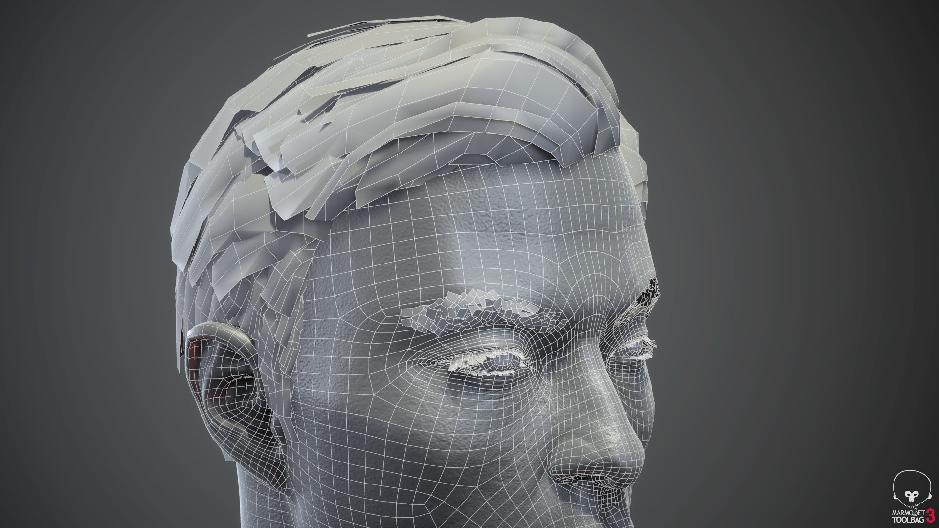 Tim Woody - Realism Head Practice