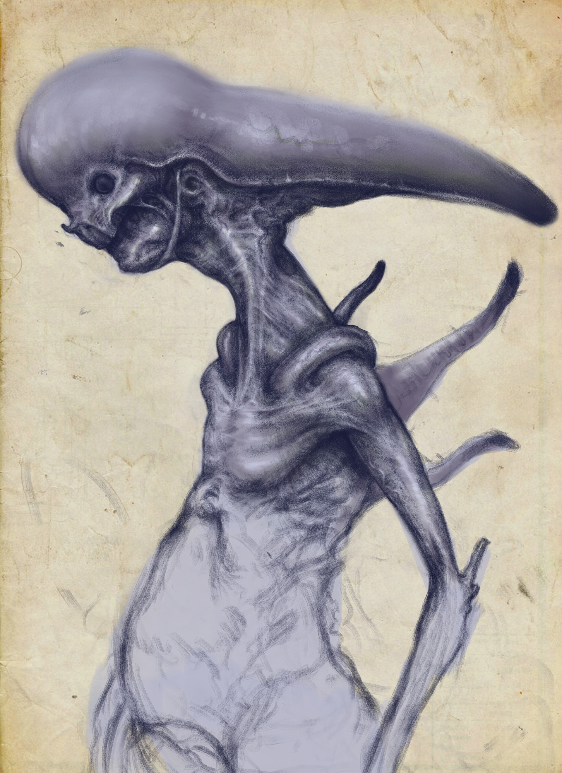 ArtStation - My Neomorph