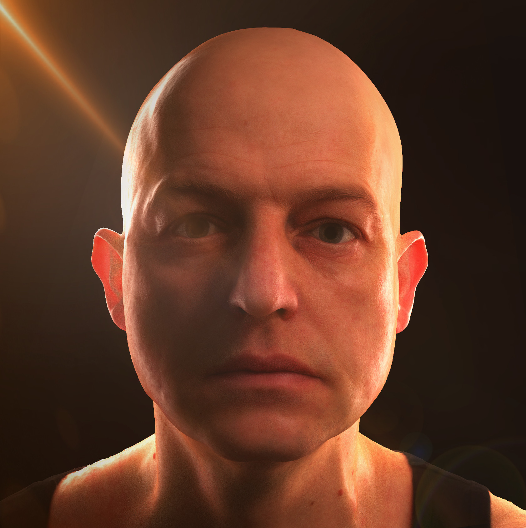 ArtStation - Study Render Head with Free Model