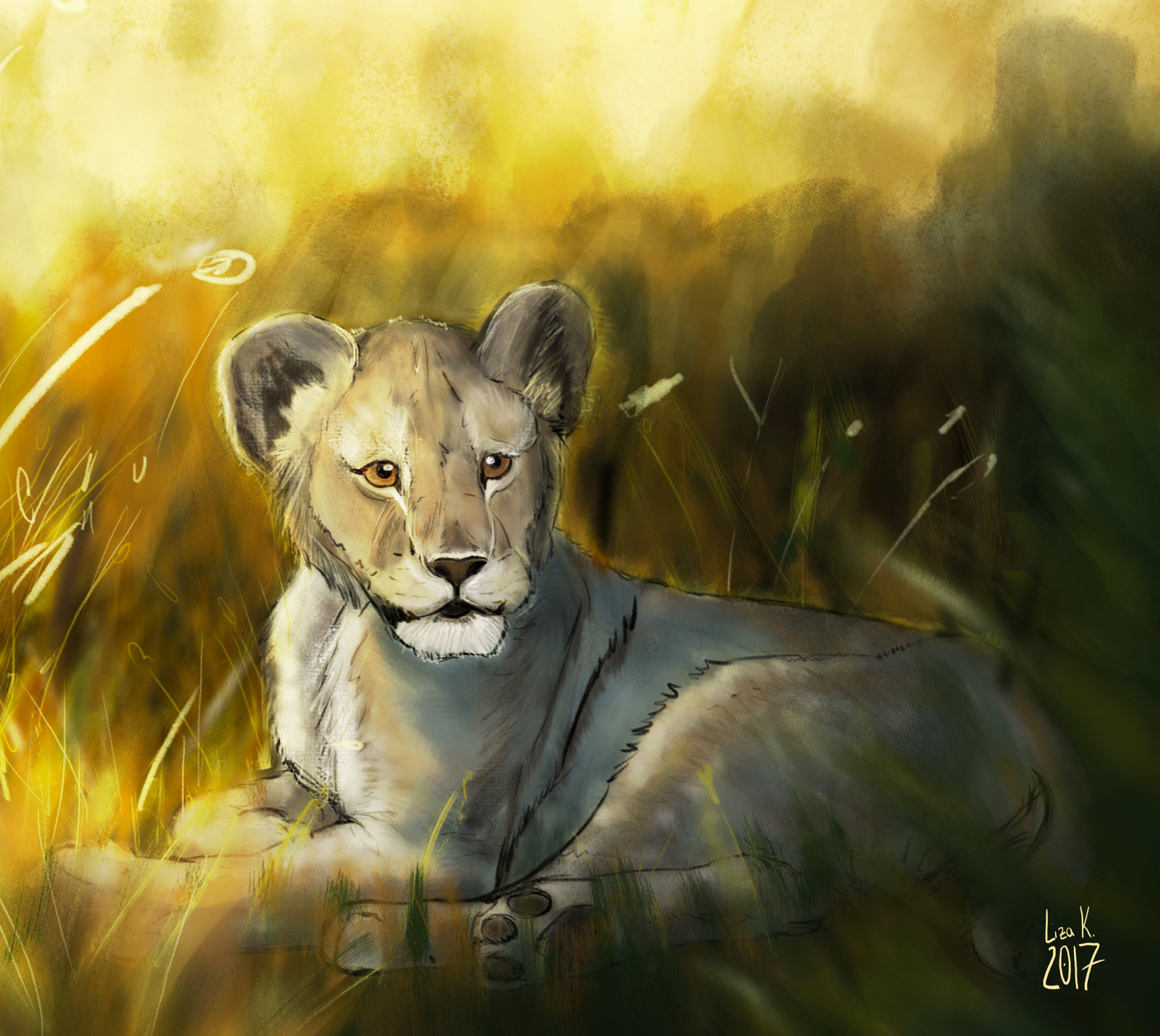 ArtStation - Lion Cub