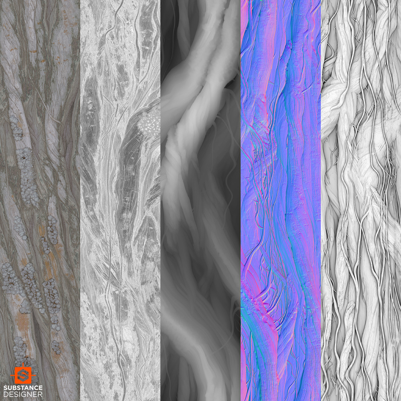 Daniel Thiger - Gnarly Tree Trunk