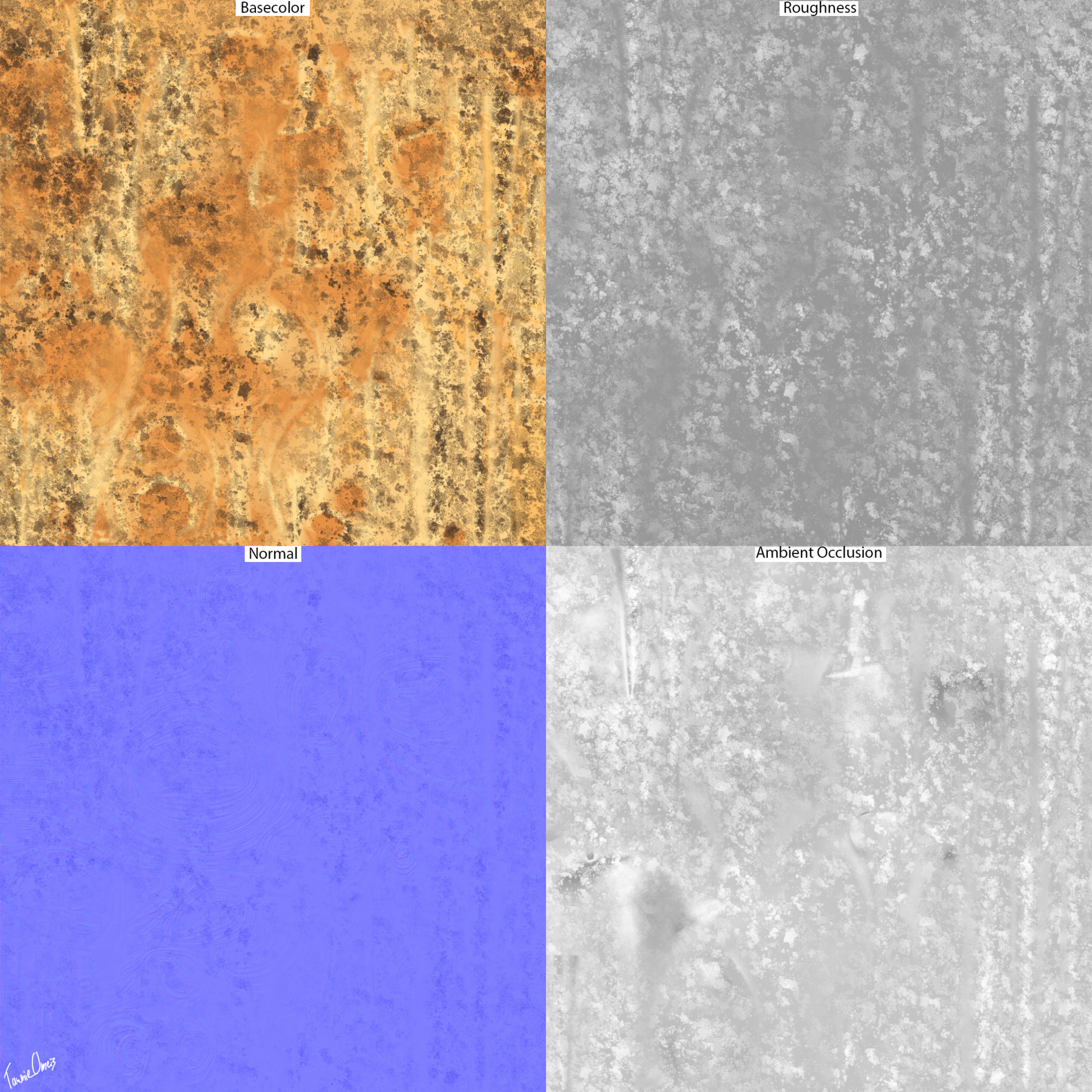 Tawnie Omeis - Carrot