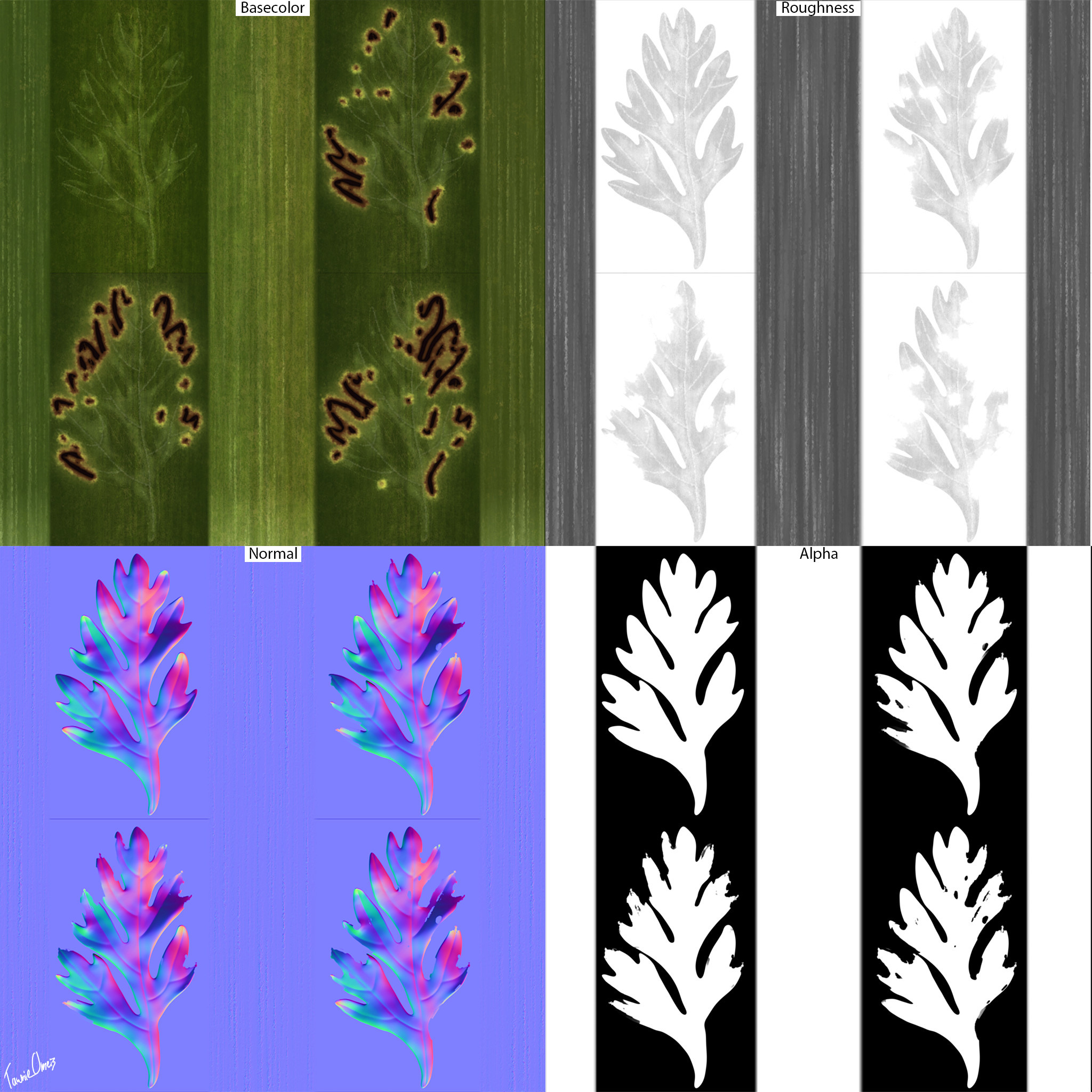 Tawnie Omeis - Carrot