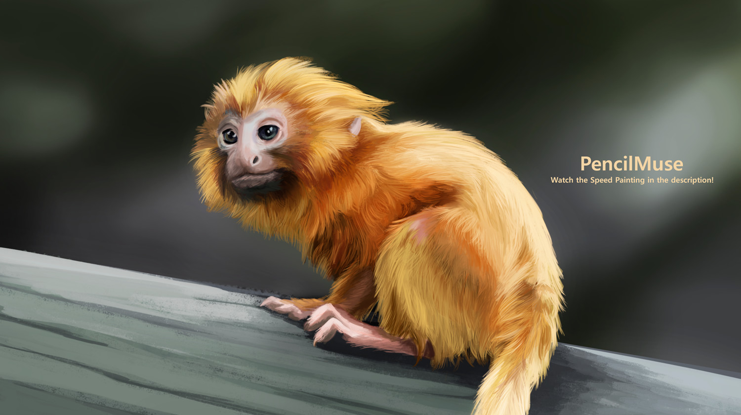 ArtStation - DAILY Speed Painting - Golden Lion Tamarin -Color