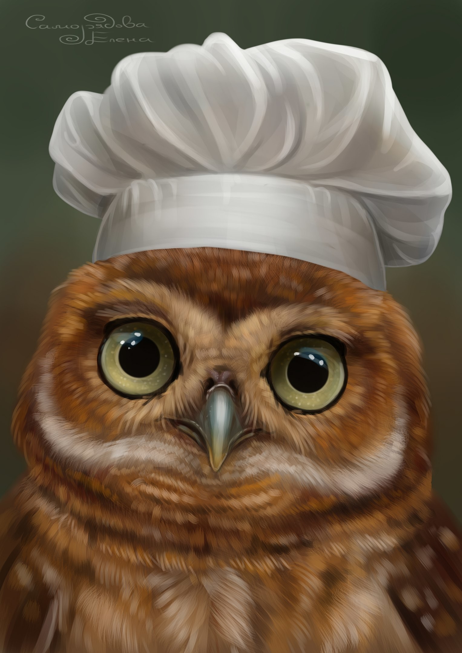 ArtStation - owl chef