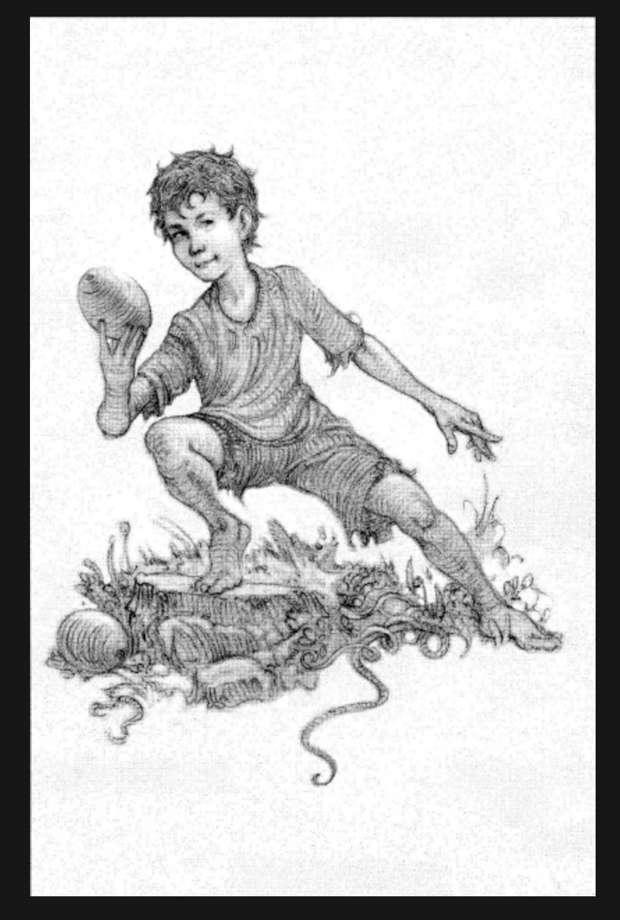 Peter And The Shadow Thieves