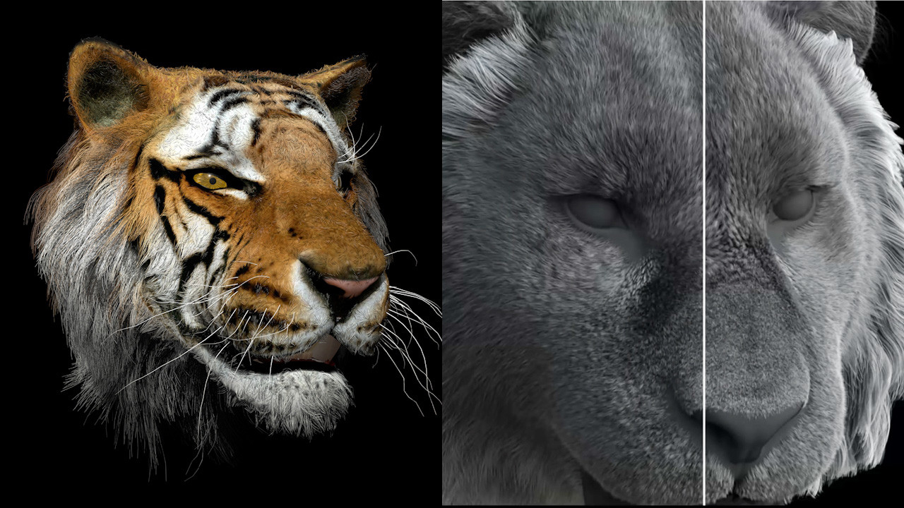 ArtStation - cg tiger tutorial