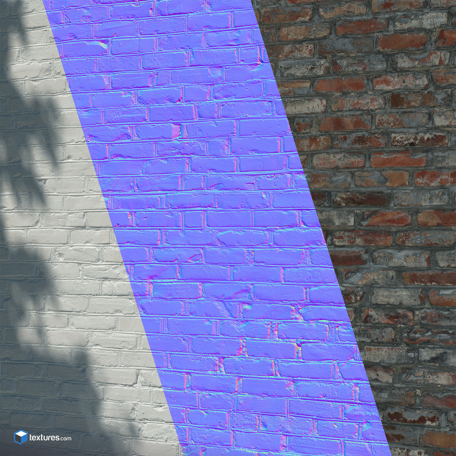 Carmen Electra - Brick Texture #2