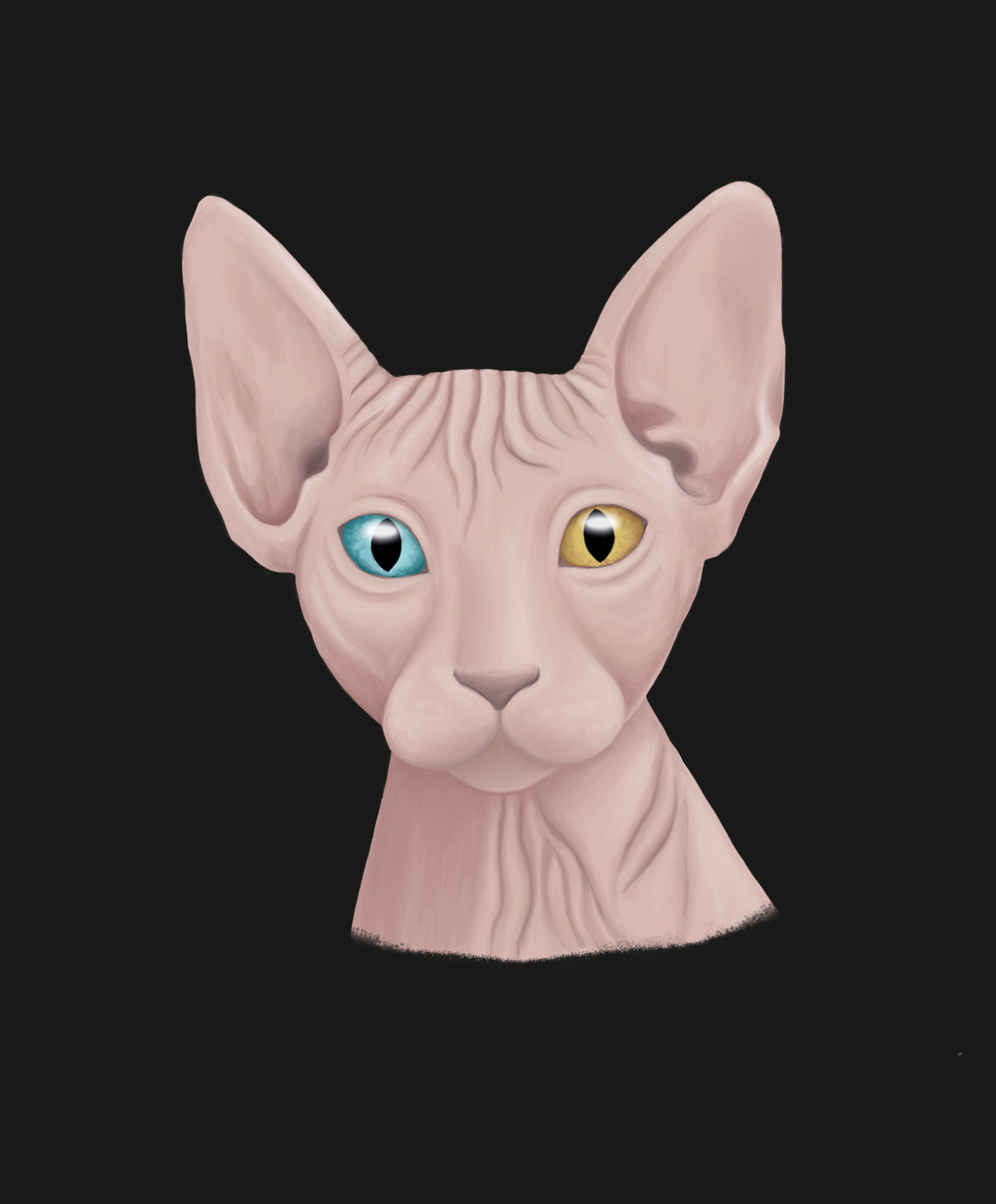 ArtStation - Sphynx cat