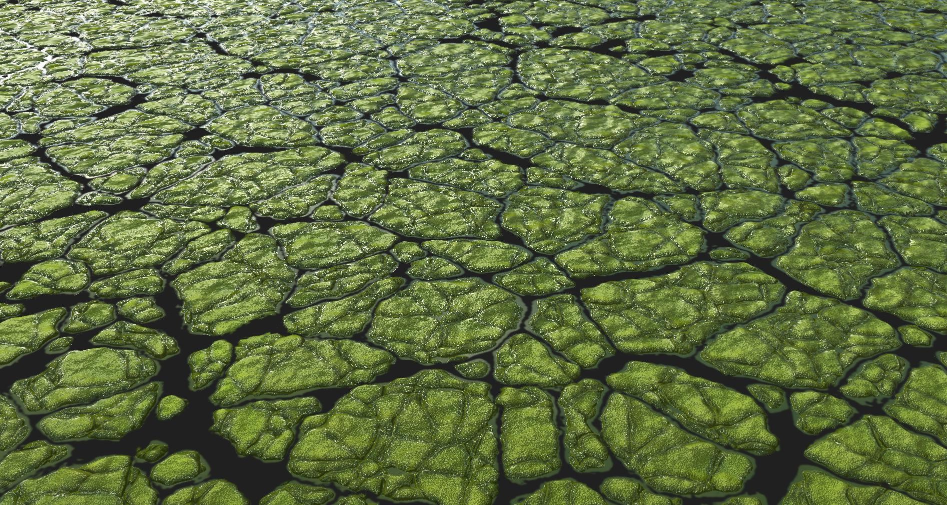 ArtStation - Substance designer texture experiments.