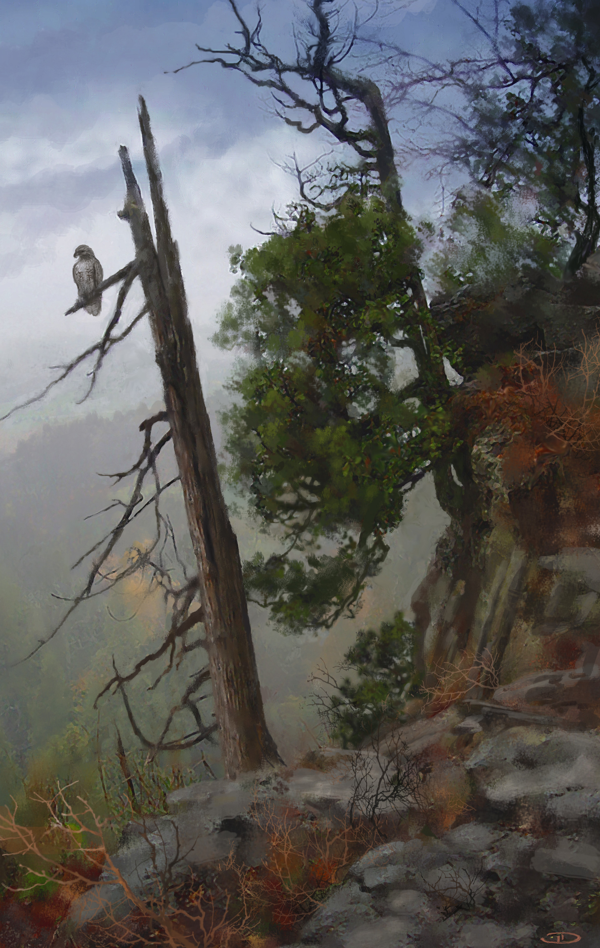 Jeff Dickson - Personal Work