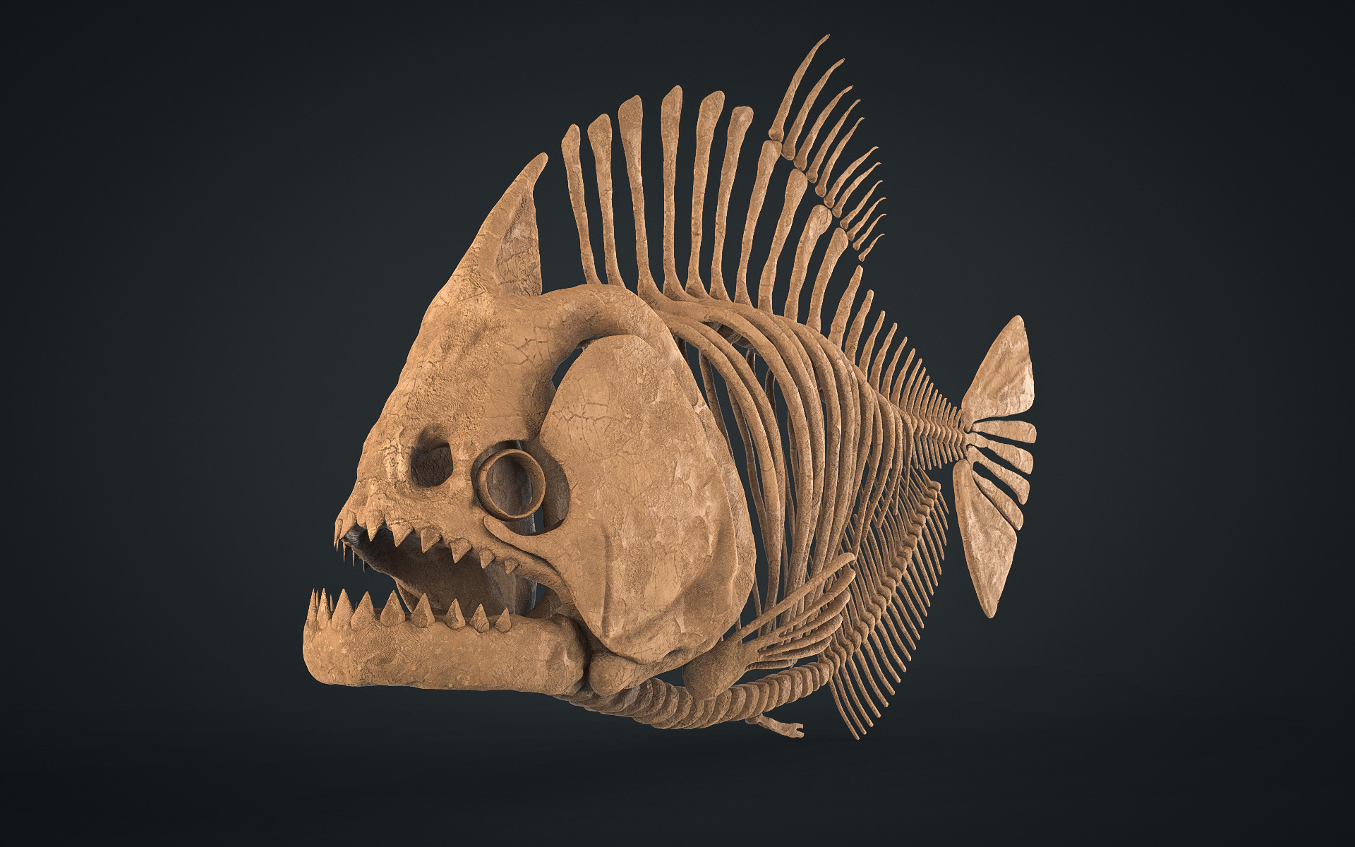 ArtStation - Piranha