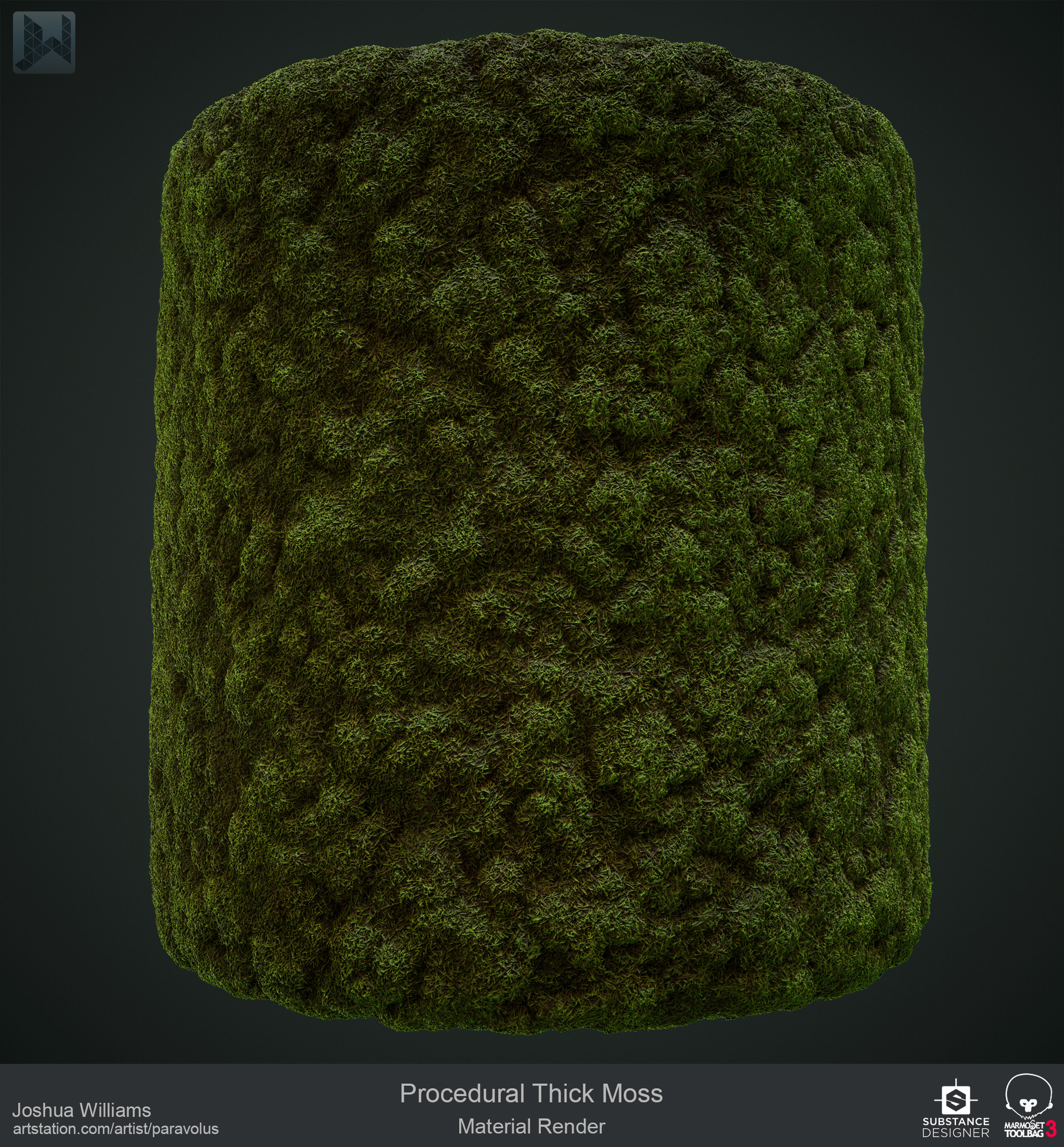 ArtStation - Procedural Thick Moss - Substance
