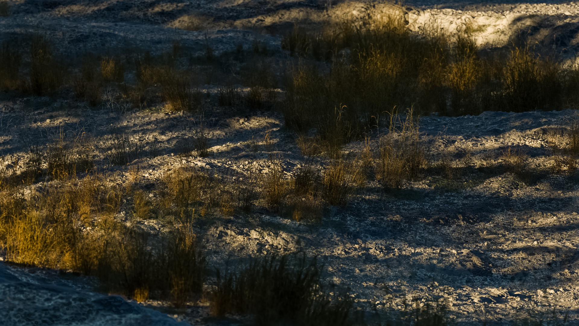 ArtStation - Dappled Light Play