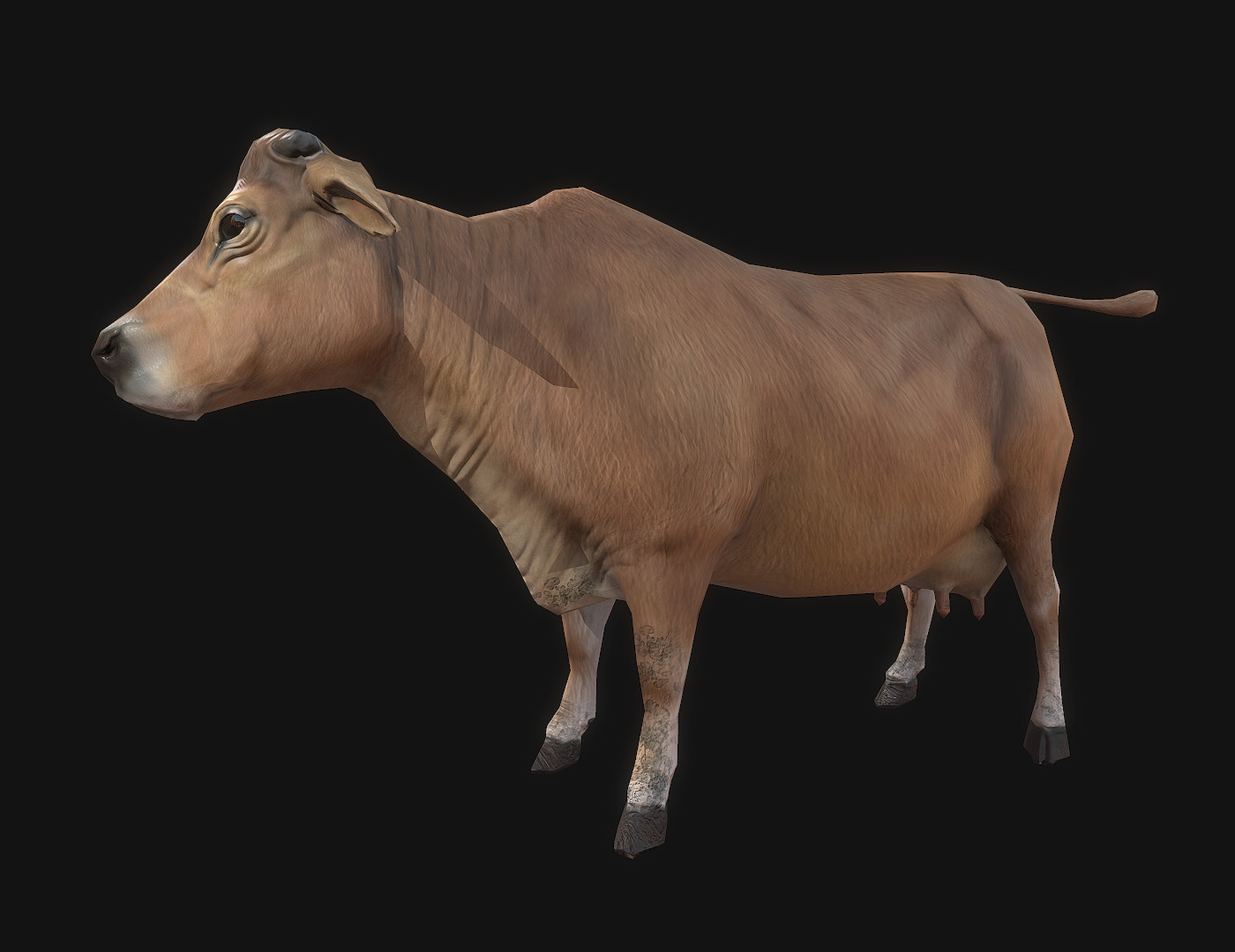 hammergames studio - Cow