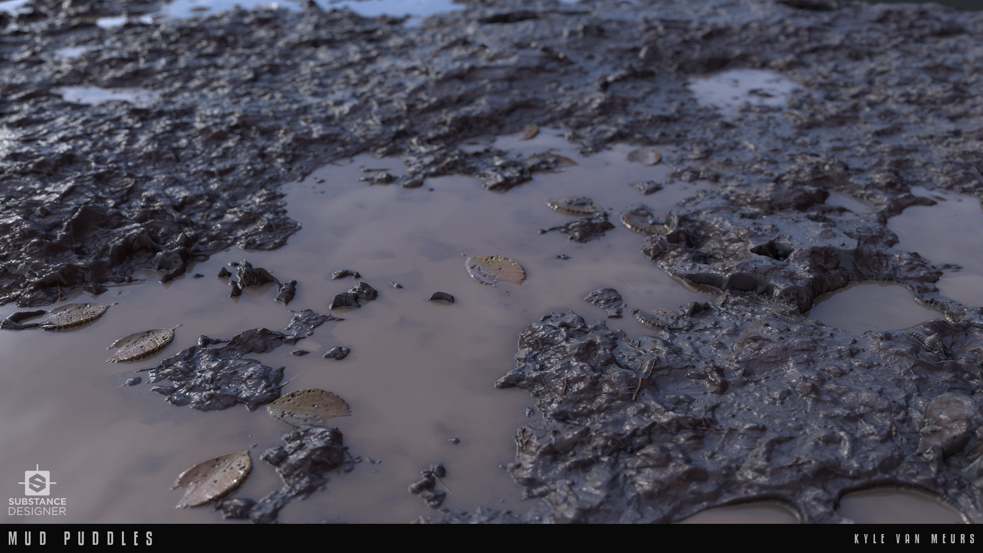 Kyle Van Meurs - Mud Puddles