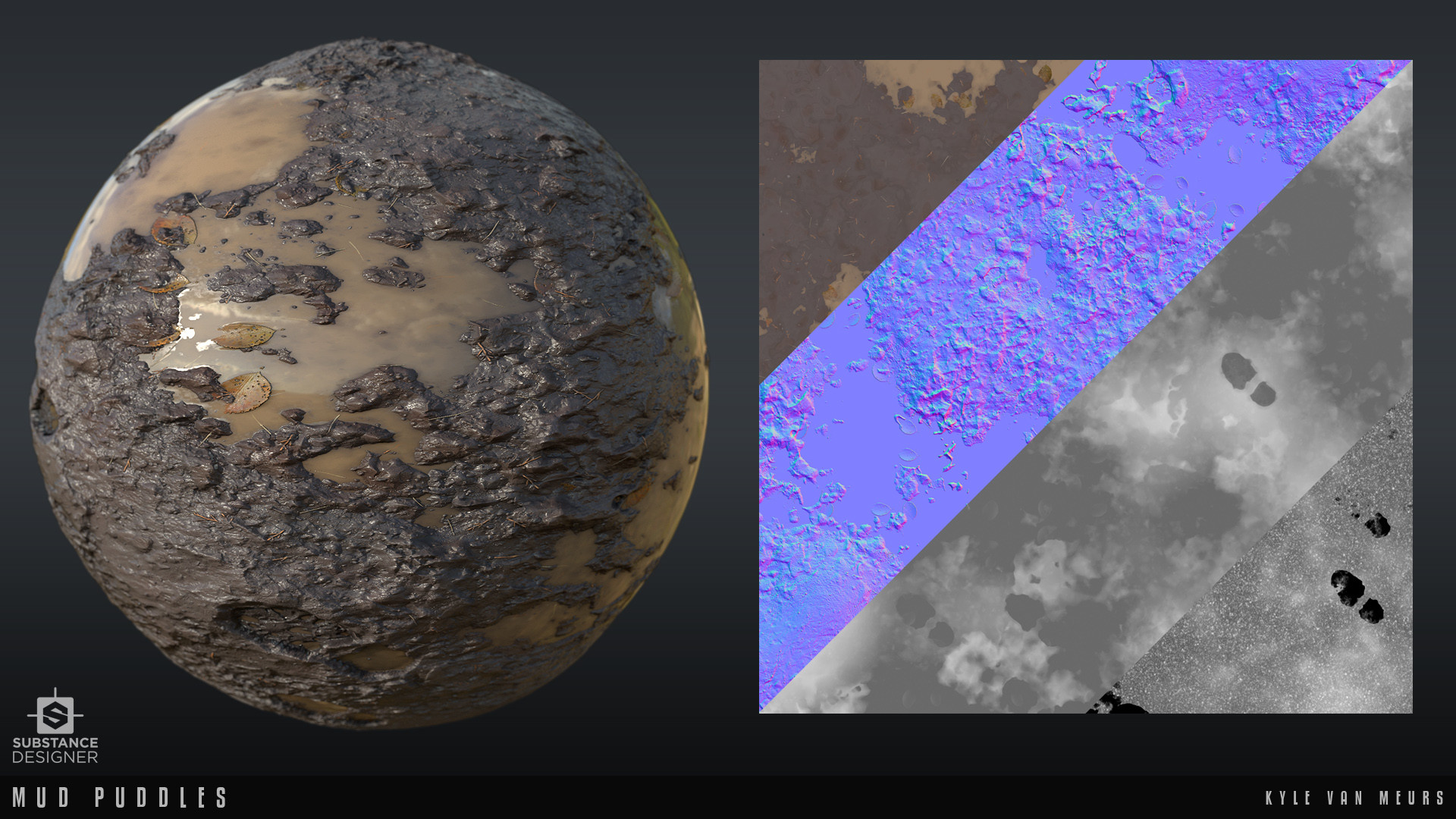 Kyle Van Meurs - Mud Puddles