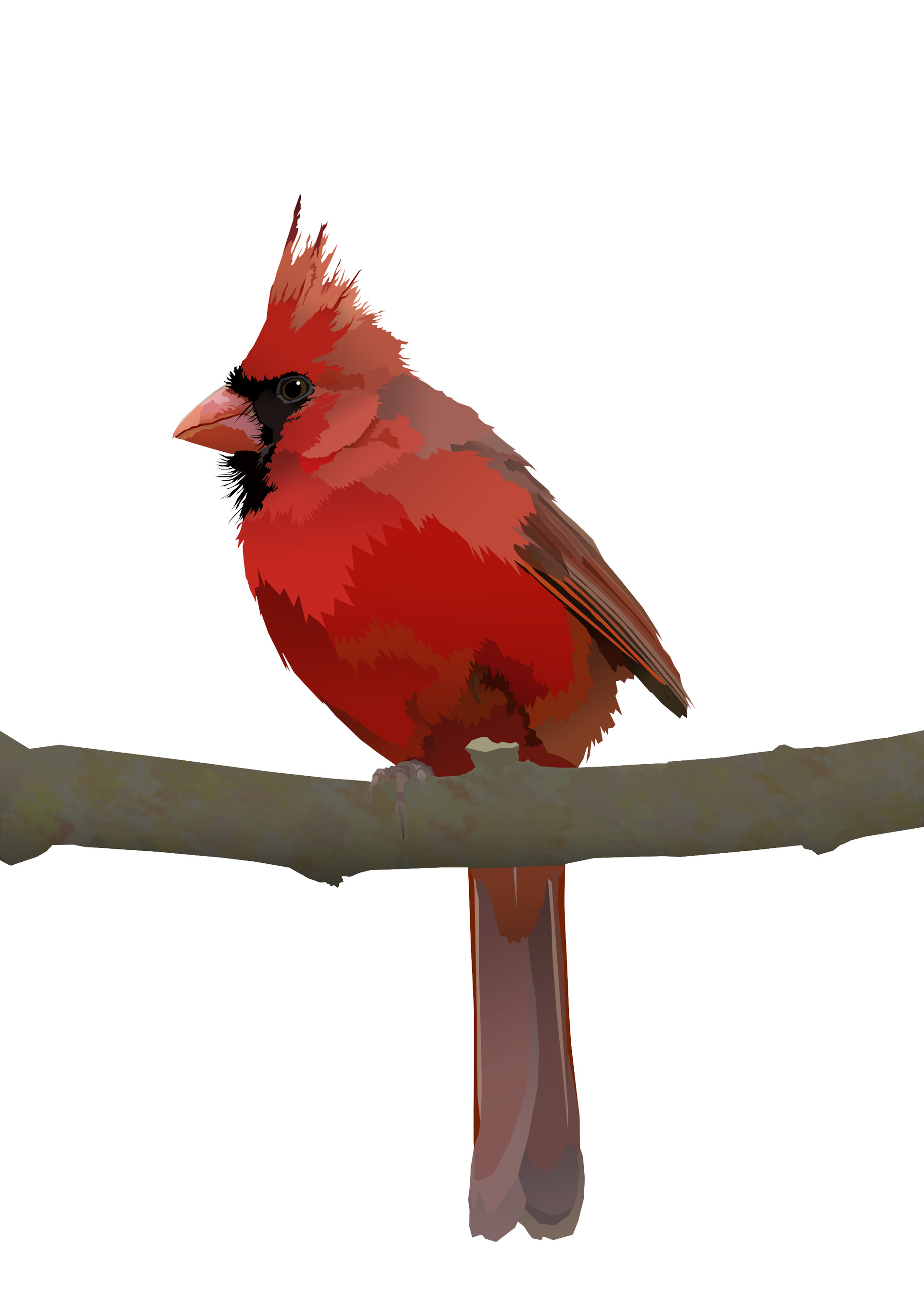 ArtStation - The Cardinal