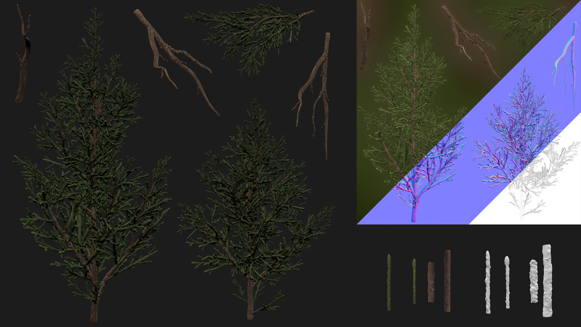 Elias Tsirides - Byzantine Ruins Nature Assets