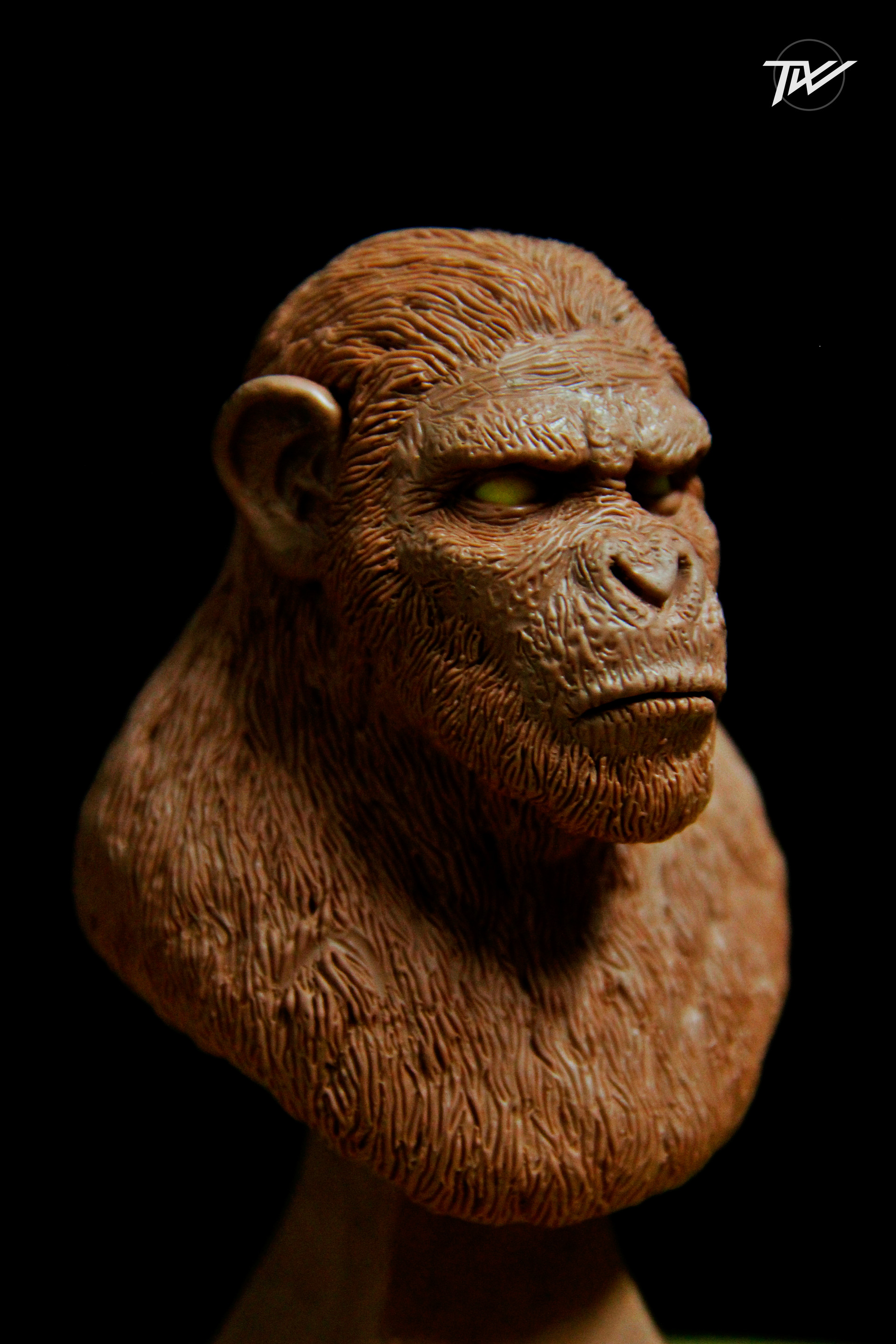 Julio Cesar - Caesar