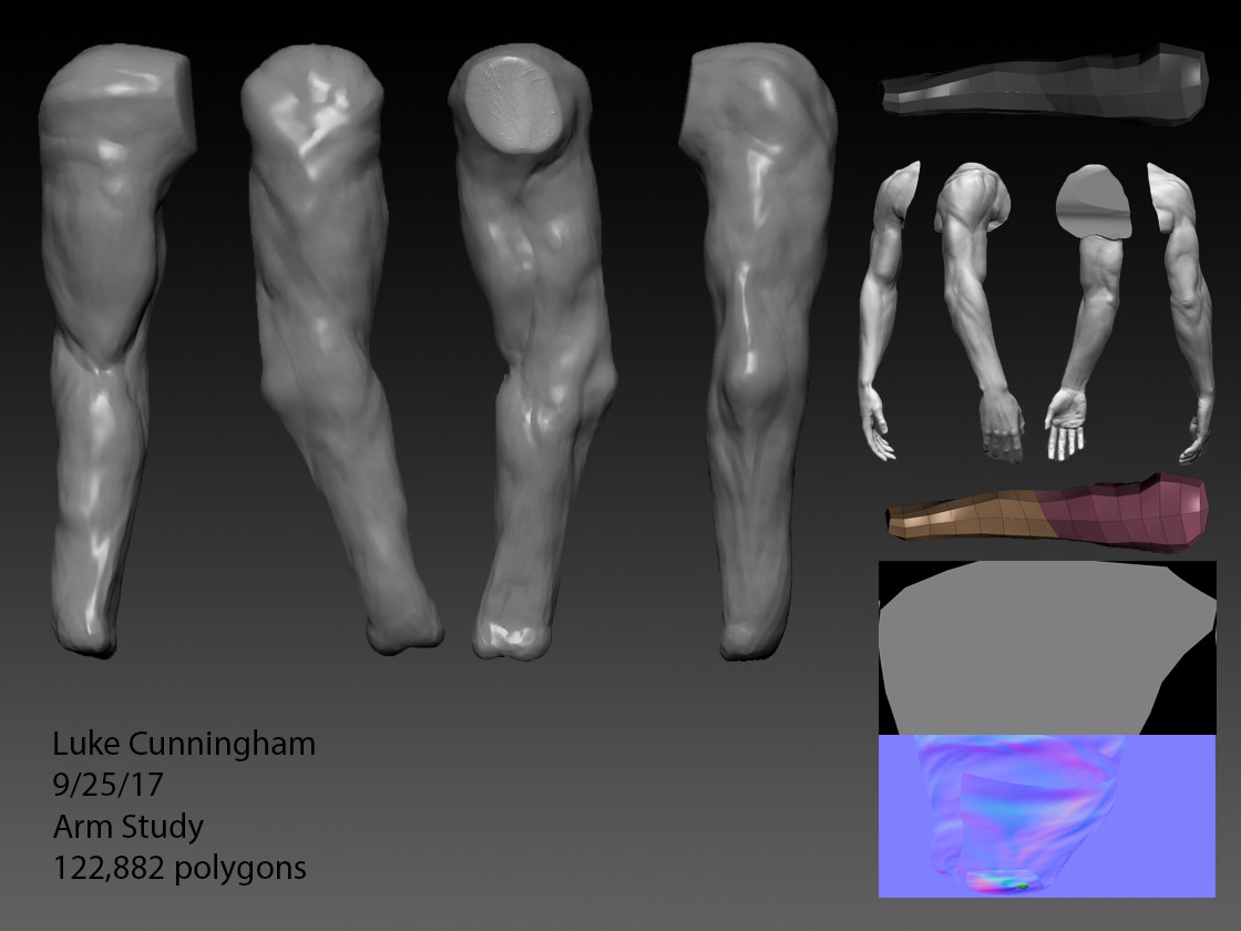 ArtStation - Arm Study