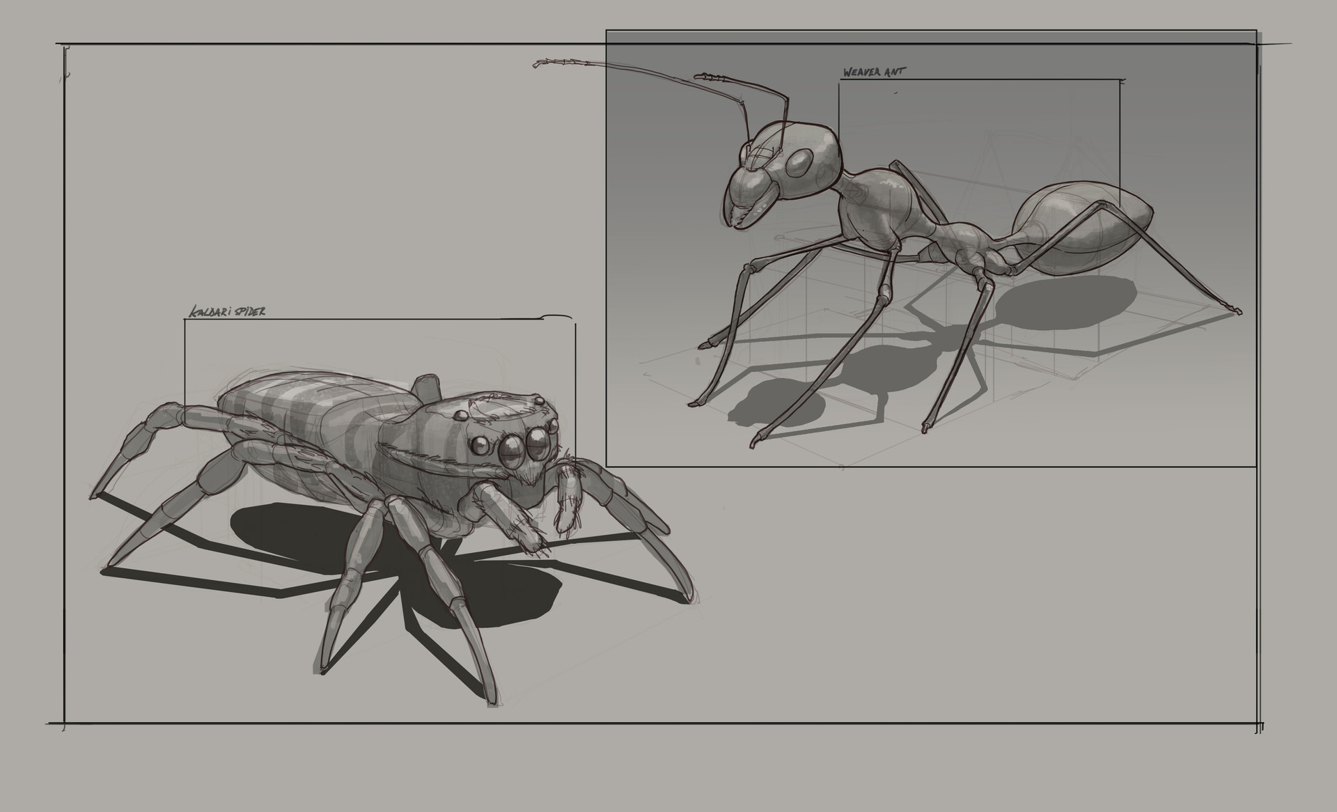 ArtStation - Insects