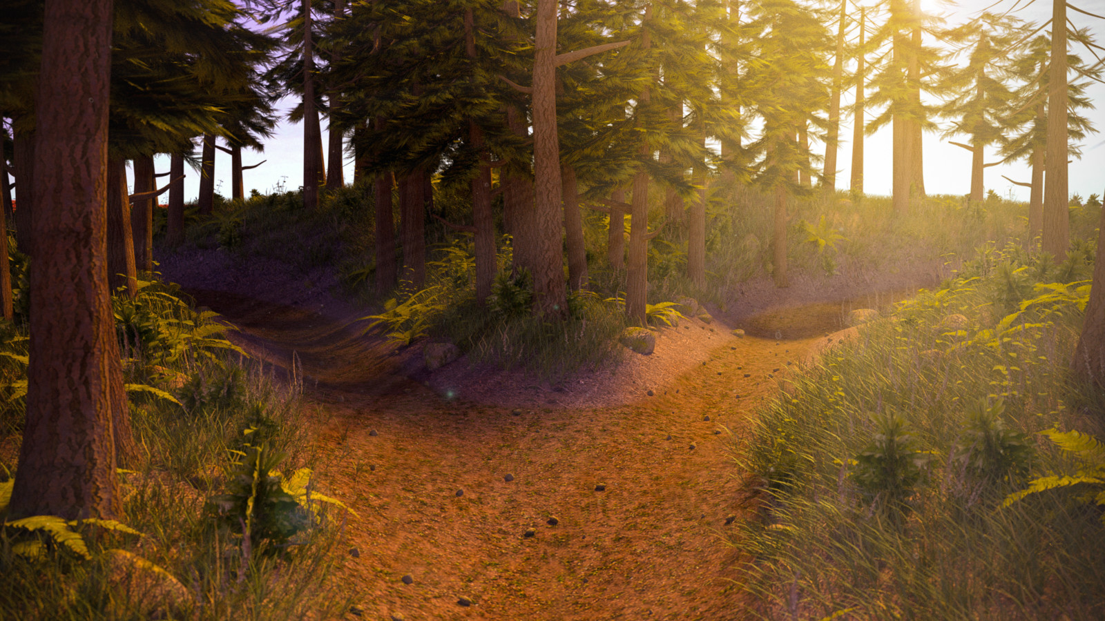 Wade Morrison - Forest