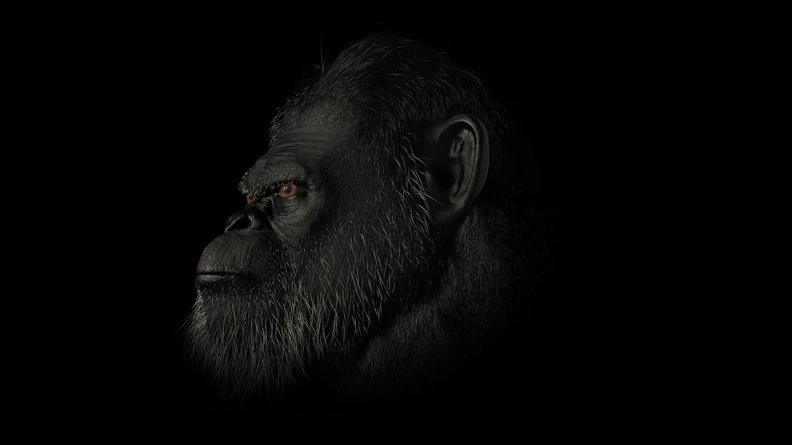 ArtStation - APE SOLDIER