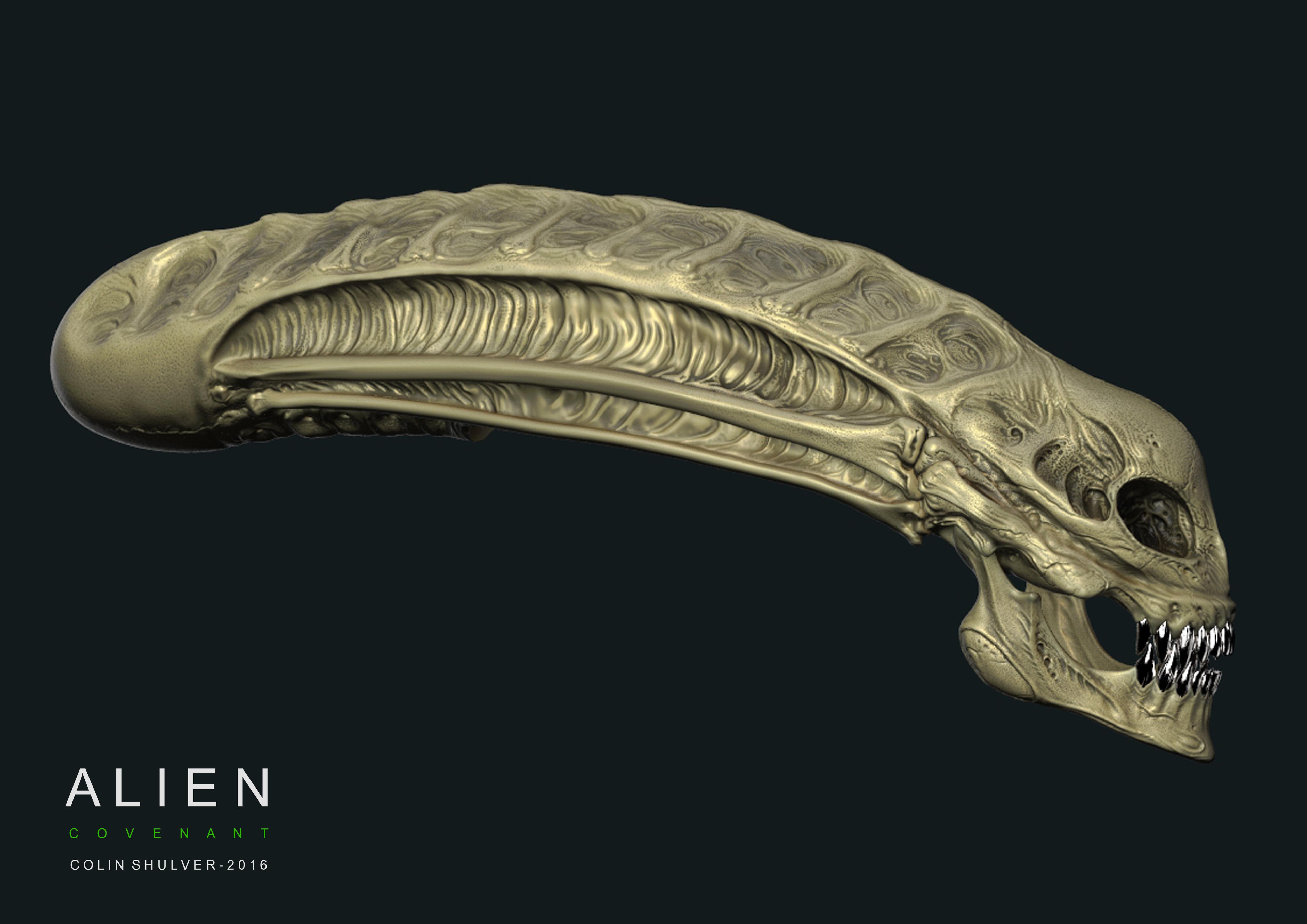 COLIN SHULVER - Alien Covenant - Protomorph Skull