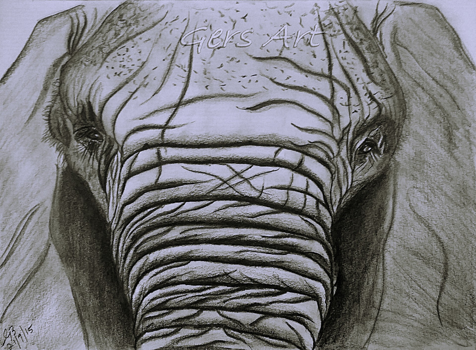 ArtStation - Elephant bull