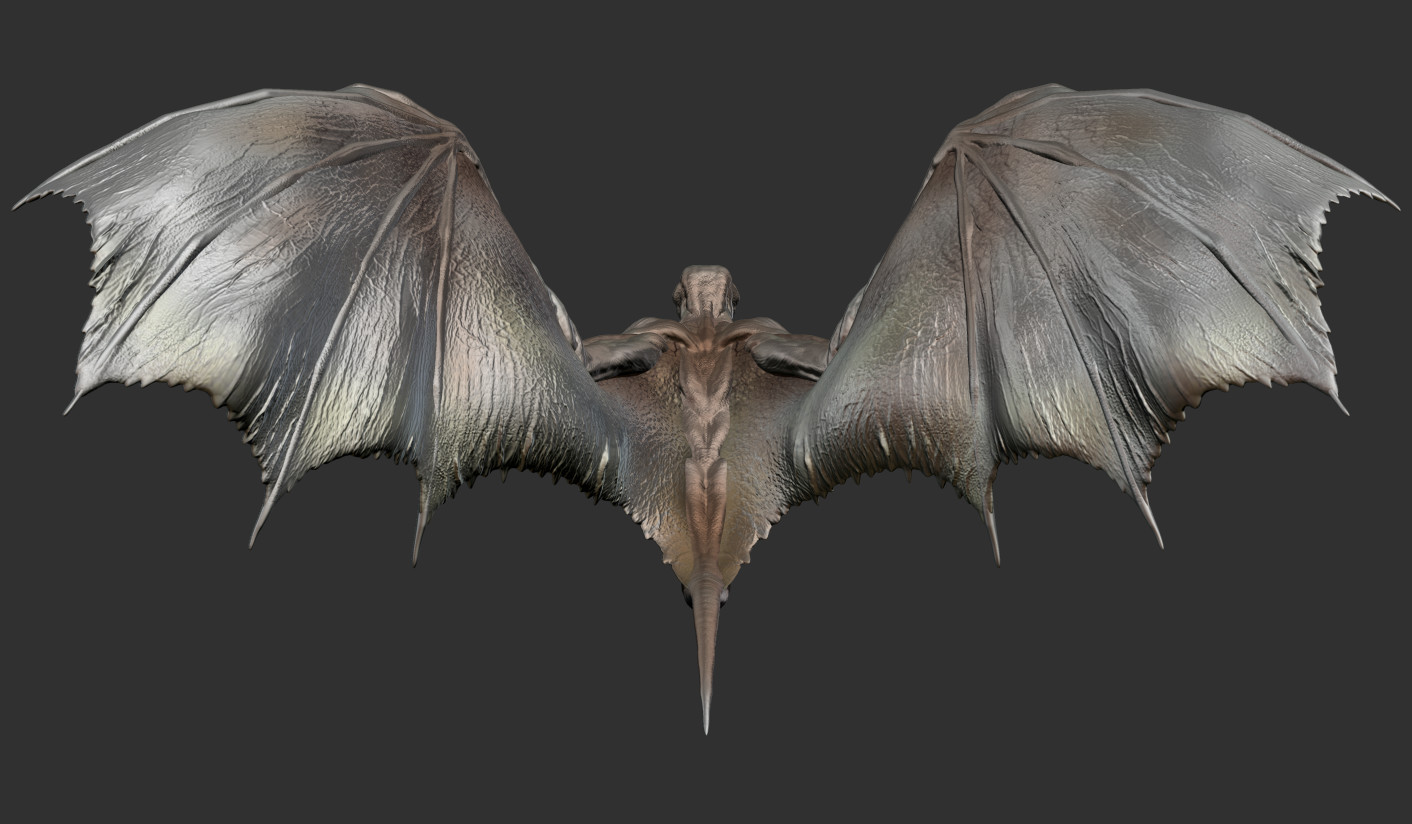 Bat Wings Side View