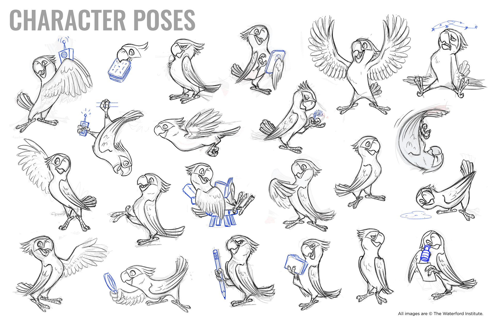 Bird Character Design