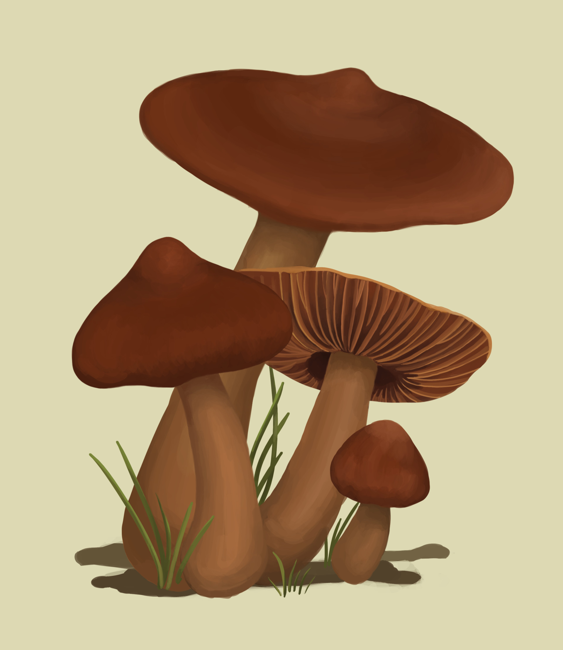 ArtStation - Cortinarius Rubellus (Deadly Webcap)