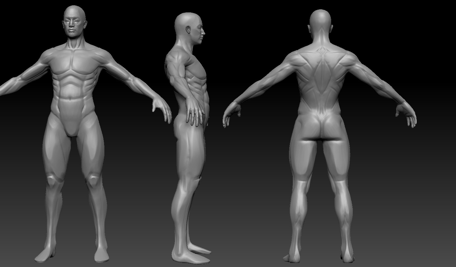 ArtStation - Base Mesh WIP (Male Anatomy Study)